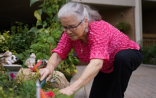 Peel Living | Peel Region Media Library Official Digital Assets | Media ...